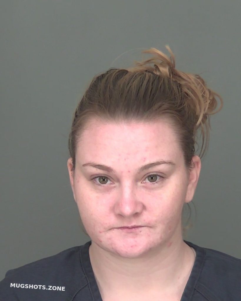 PRESCOTT JUDITH LOUISE 01/16/2024 - Highlands County Mugshots Zone