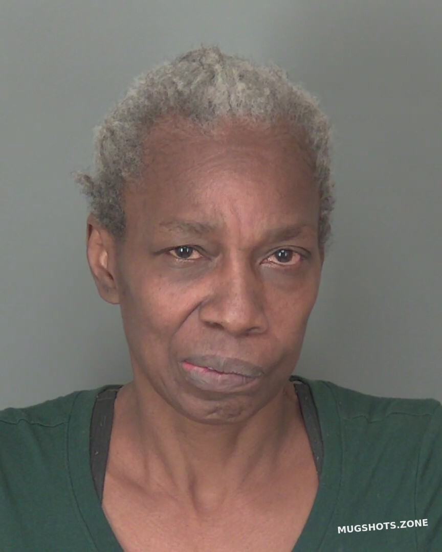 STRANGE MELINDA LEE 02/01/2024 - Highlands County Mugshots Zone