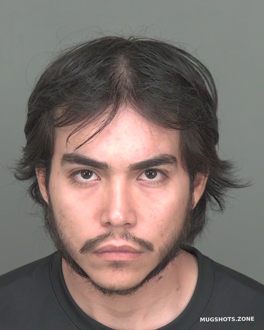 DOMINGUEZ IVAN JASETH 02/21/2024 - Highlands County Mugshots Zone