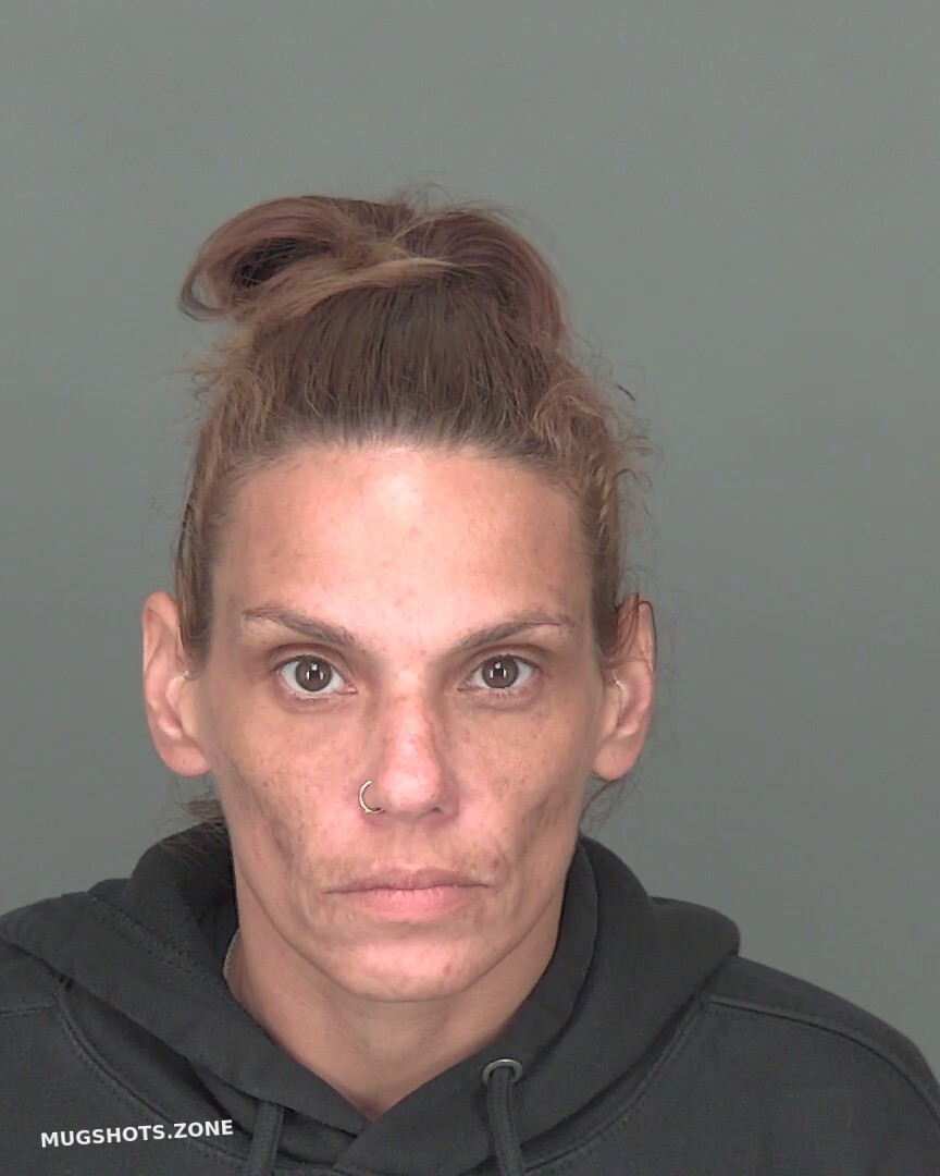 POE DANIELLE NICOLE 03/01/2024 - Highlands County Mugshots Zone