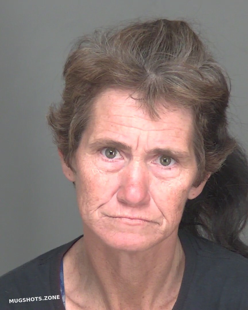 SMITH TAMI LYNN 03/12/2024 - Highlands County Mugshots Zone