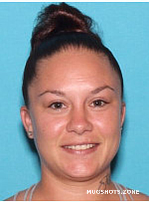 FORDHAM TAMI LEE 03/23/2024 - Highlands County Mugshots Zone