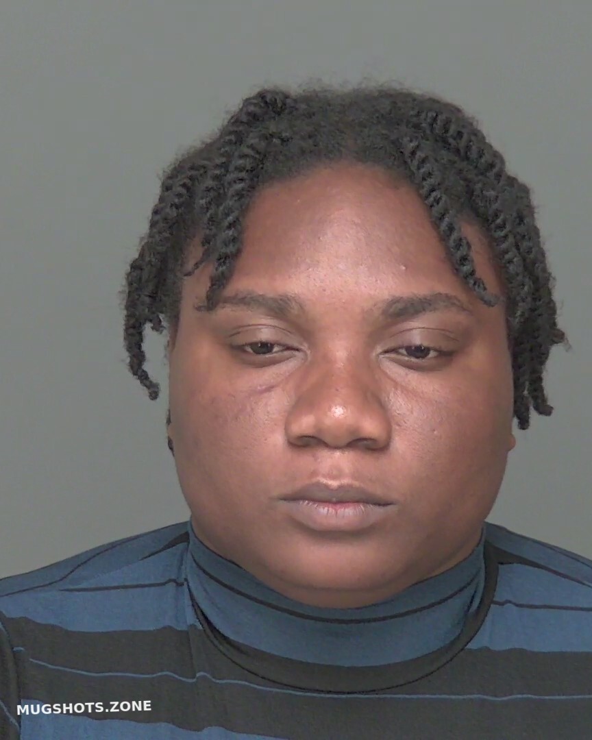 DELVA SAGINE 04/03/2024 - Highlands County Mugshots Zone