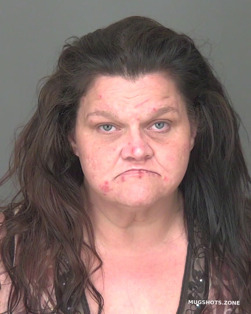 KEATON CRYSTAL MICHELLE 04/28/2024 - Highlands County Mugshots Zone