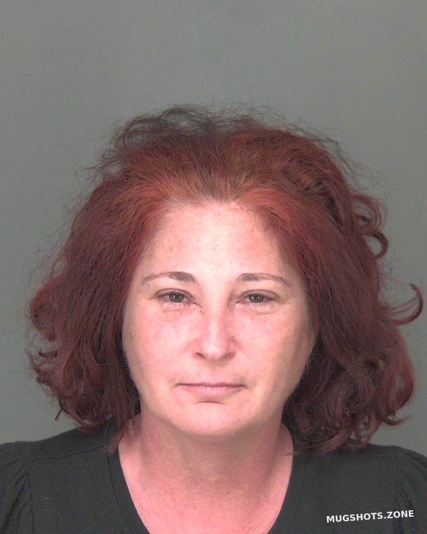 Long Mandy Lynn 05 03 2024 Highlands County Mugshots Zone