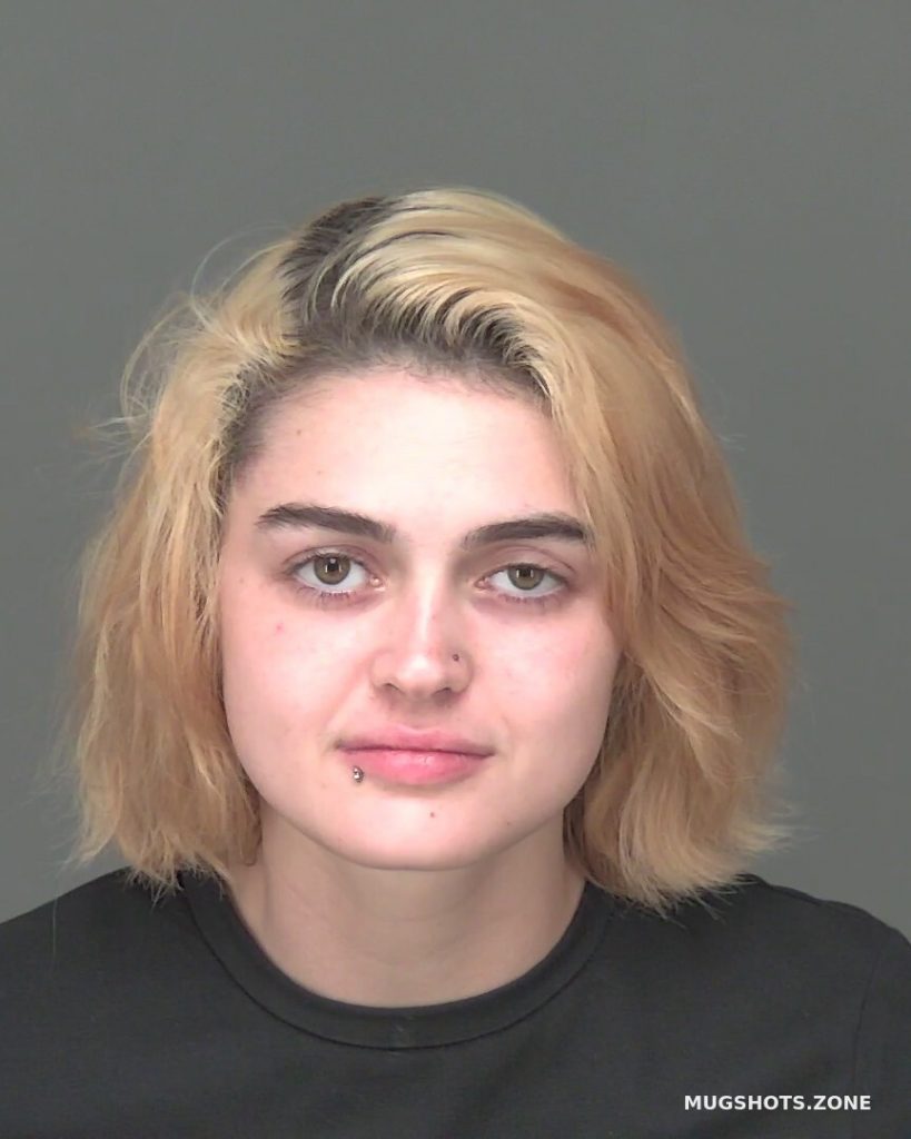 Andersen Ashley Elizabeth 05192024 Highlands County Mugshots Zone