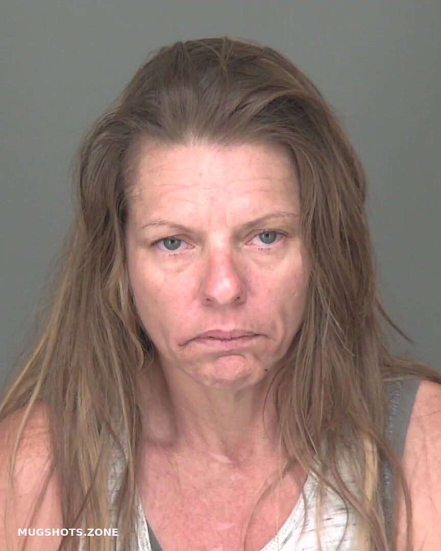 DEESE LAURA LYNN 05/29/2024 - Highlands County Mugshots Zone