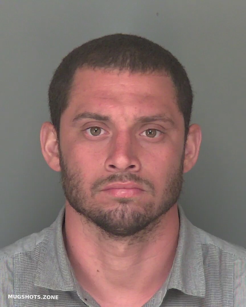 LOPEZ GONZALEZ STEVEN MALLORY 06/01/2024 - Highlands County Mugshots Zone