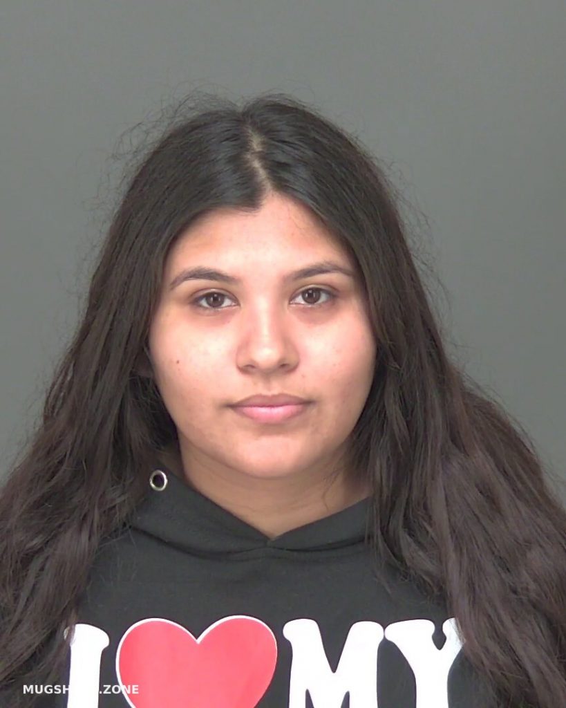 CARRILLO LAURIE YVETTE 06/06/2024 - Highlands County Mugshots Zone