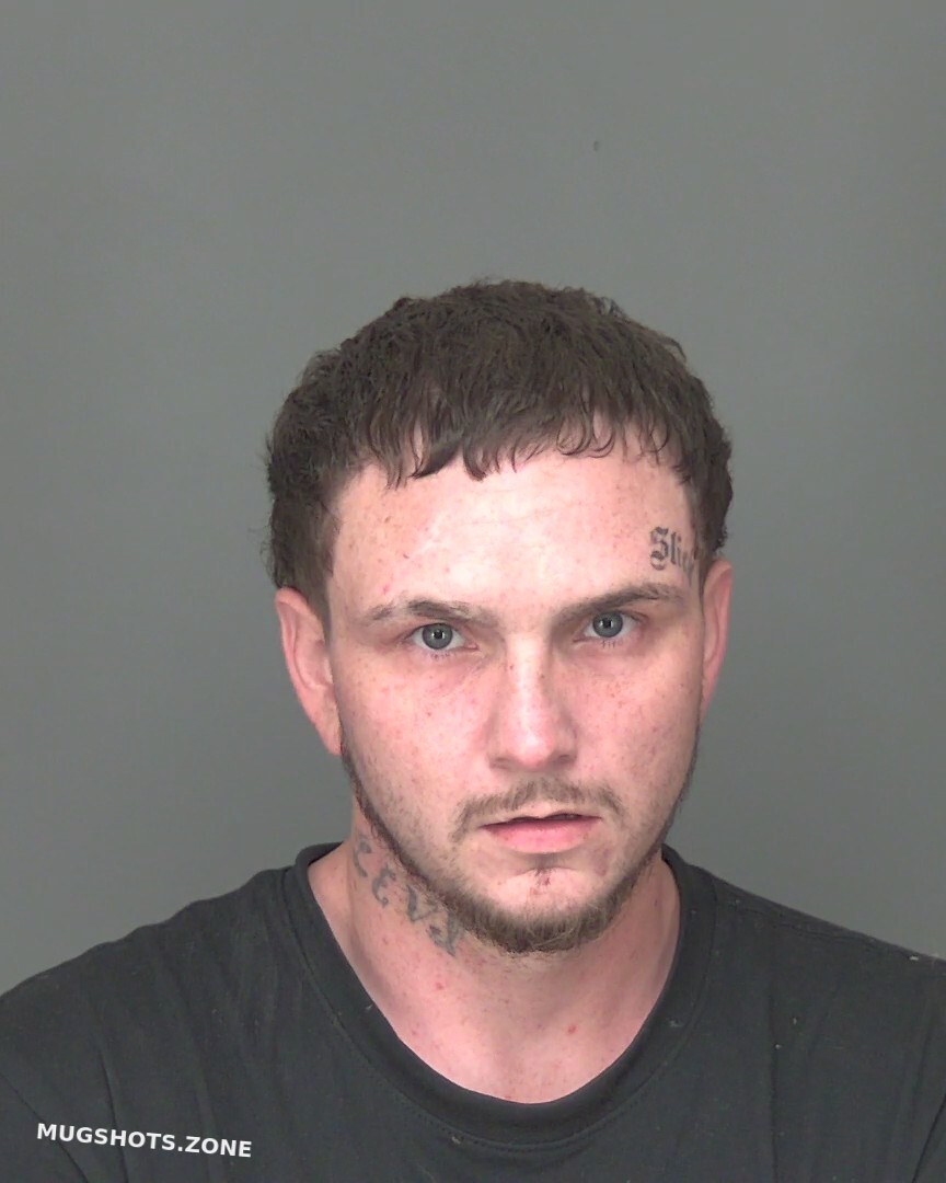NELSON NICHOLAS CLIFTON DEMETRI 06/12/2024 - Highlands County Mugshots Zone