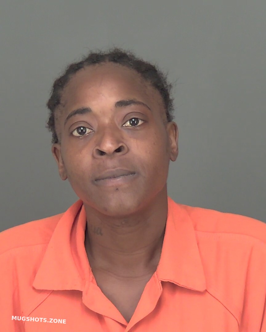 EADS RACHEL KING 06/25/2024 - Highlands County Mugshots Zone