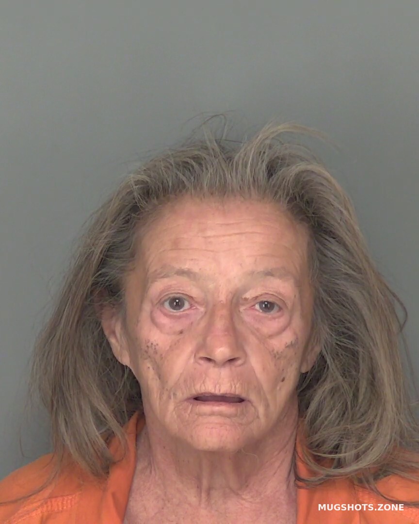 MILLER DEBRA ANN 07/03/2024 - Highlands County Mugshots Zone