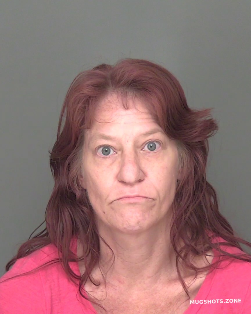 YESTER CARLA DENISE 07/09/2024 - Highlands County Mugshots Zone