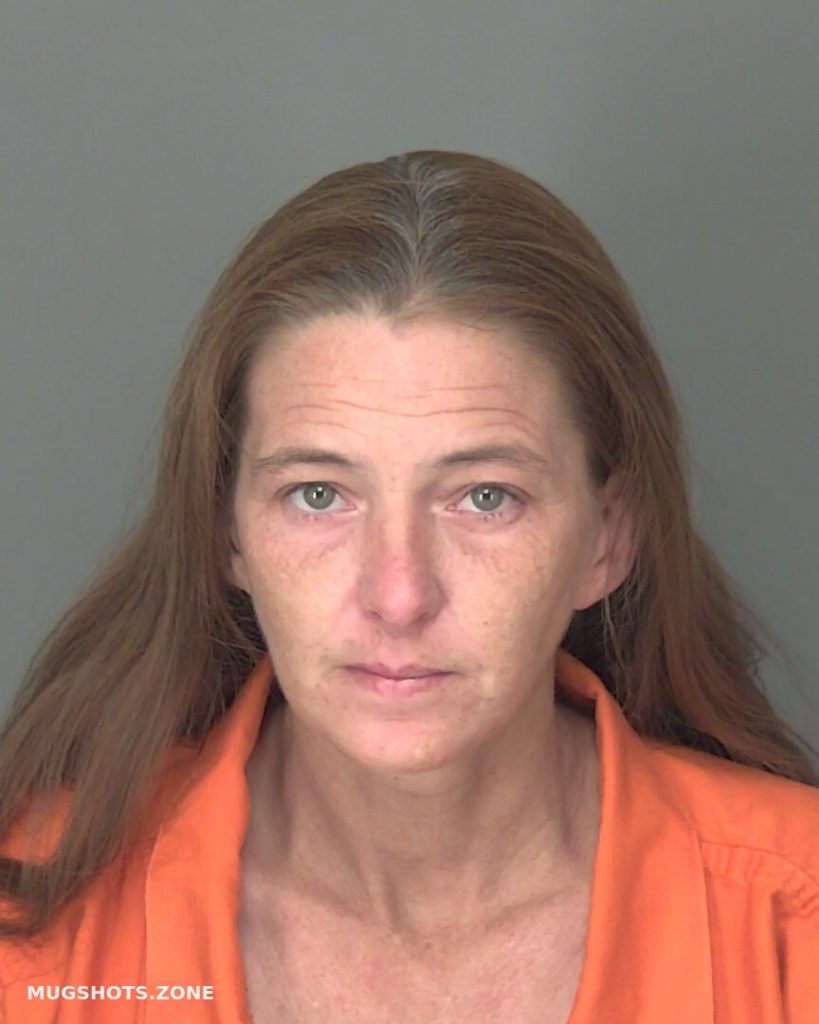 MONTGOMERY PRISCILLA DAWN 08/17/2024 - Highlands County Mugshots Zone