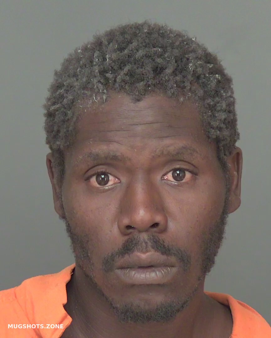 MOSES BOBBY LEE 08/19/2024 - Highlands County Mugshots Zone