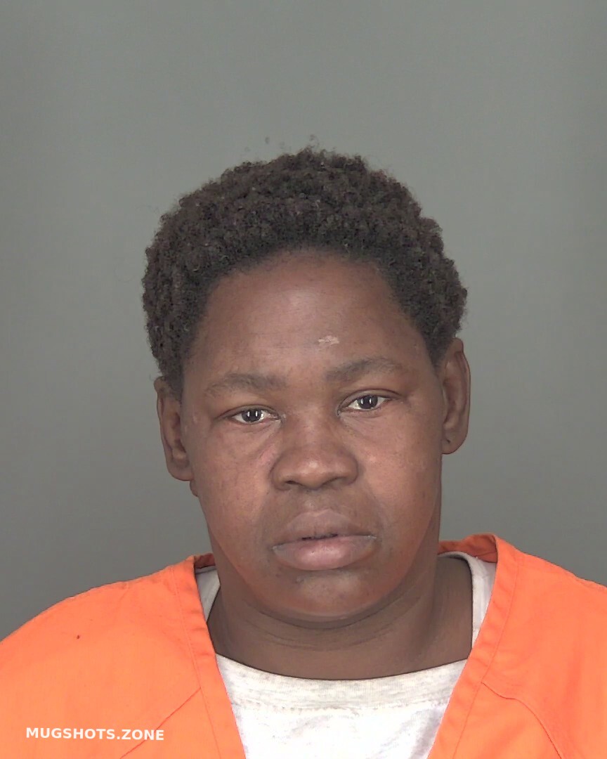 WYCHE NANCY NICOLE 08/19/2024 - Highlands County Mugshots Zone