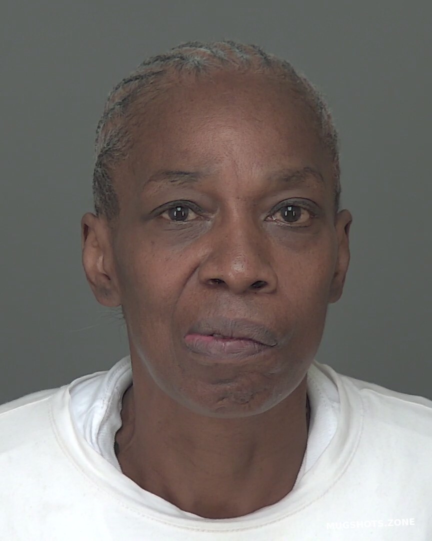 STRANGE MELINDA LEE 08/21/2024 - Highlands County Mugshots Zone