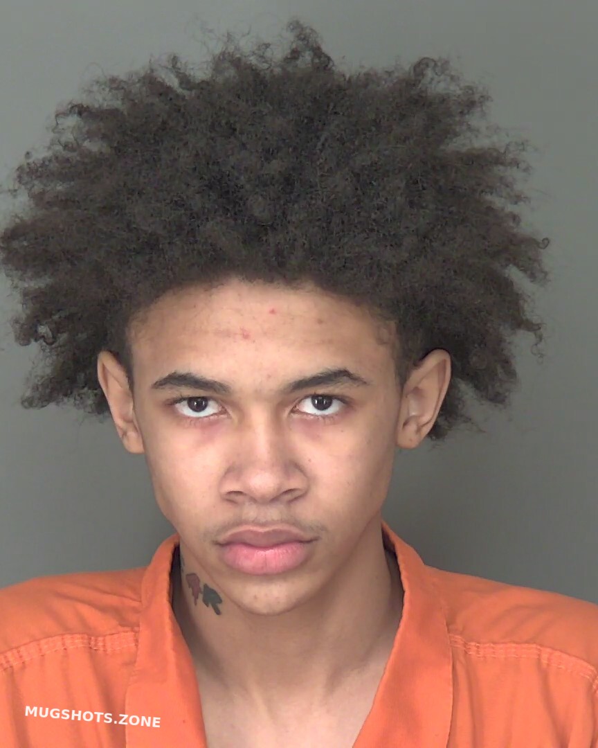 JONES DEONDRE JAMESHENRY 08/23/2024 - Highlands County Mugshots Zone