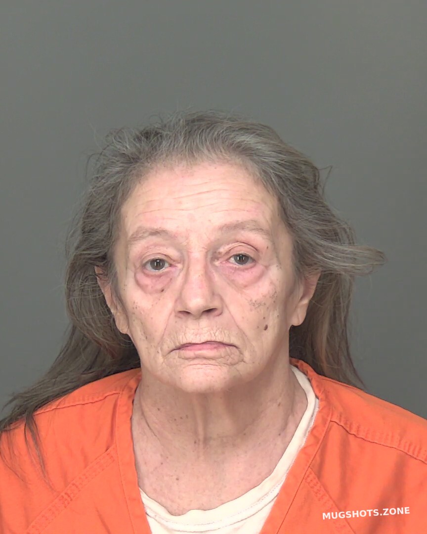 MILLER DEBRA ANN 10/02/2024 - Highlands County Mugshots Zone