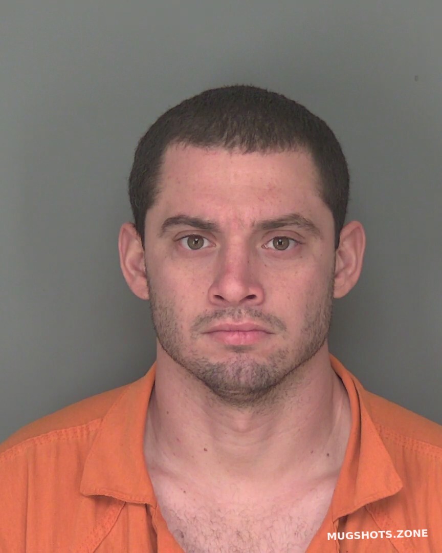 LOPEZ GONZALEZ STEVEN MALLORY 10/08/2024 - Highlands County Mugshots Zone