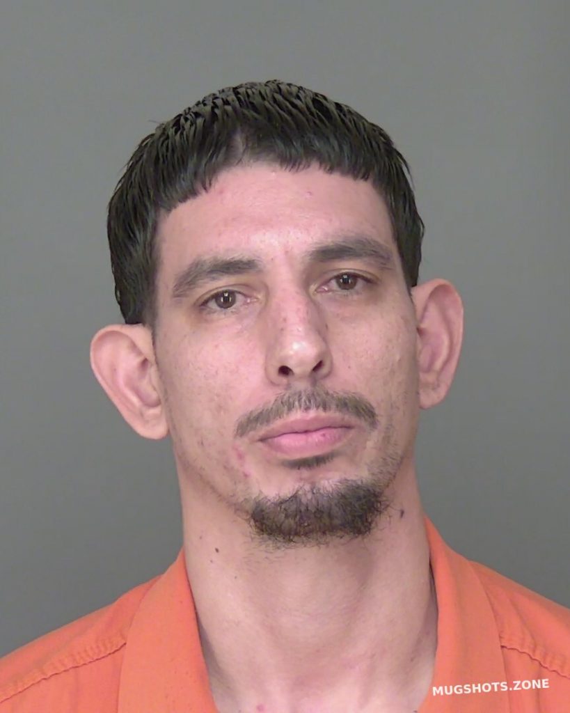 RIVERA ALEXIS RIOS 11/21/2024 - Highlands County Mugshots Zone