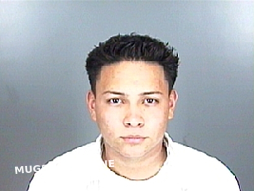 RODRIGUEZ PABLO ANTONIO 12/08/2024 - Highlands County Mugshots Zone