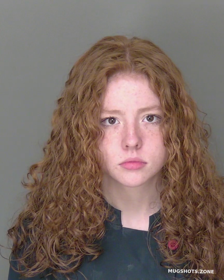 STOKES TORREY SHERLENE 12/12/2024 - Highlands County Mugshots Zone