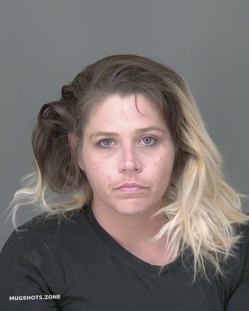 TULK SHAYE ANN 12/22/2024 - Highlands County Mugshots Zone
