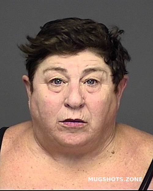 ROMER KAREN JANE 12/25/2024 - Highlands County Mugshots Zone