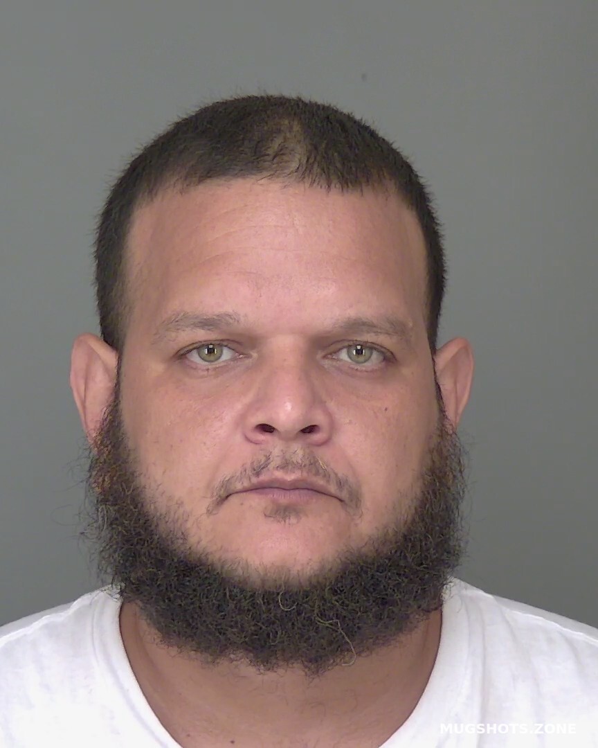 MORALES APONTE RICHARD 01/01/2025 - Highlands County Mugshots Zone