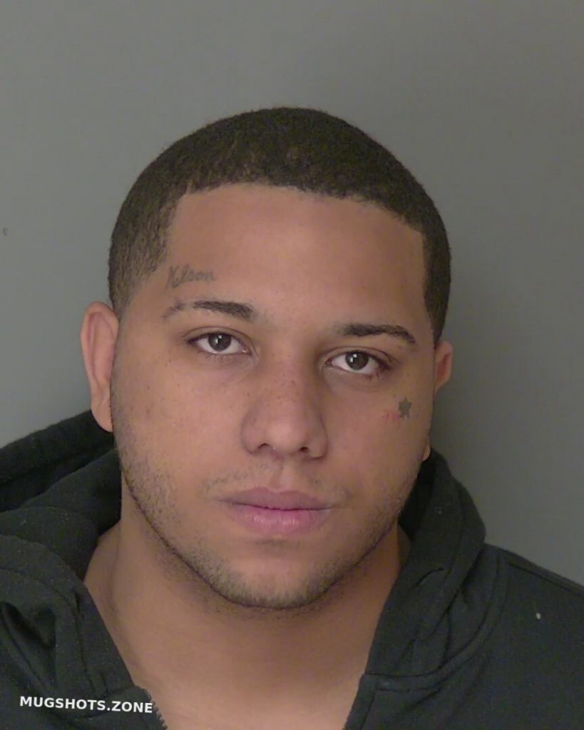 NELSON GABRIEL SHAY 01/12/2025 - Highlands County Mugshots Zone