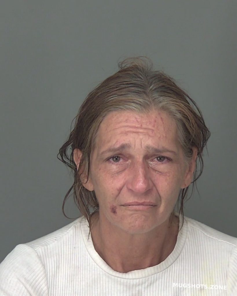 COULTER-MANUEL APRIL DENISE 01/14/2025 - Highlands County Mugshots Zone