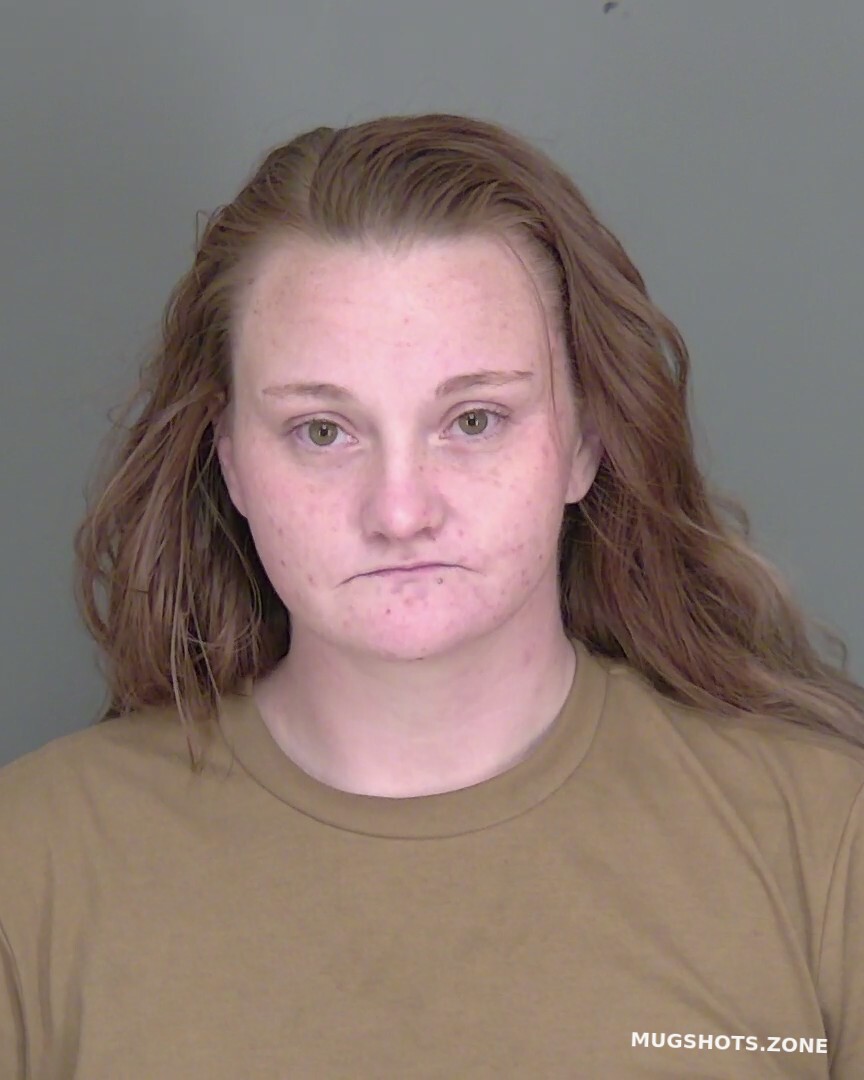 PRESCOTT JUDITH LOUISE 01/22/2025 - Highlands County Mugshots Zone