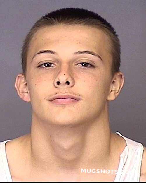 CRISMAN BRANDEN THOMAS 02/02/2025 - Highlands County Mugshots Zone