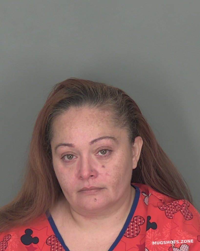 PEREZ MARIBEL C 03/04/2025 - Highlands County Mugshots Zone