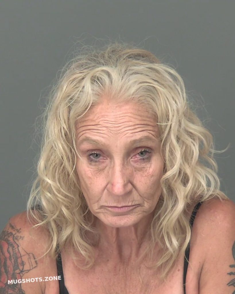 ELKINS TRACY MARIE 03/06/2025 - Highlands County Mugshots Zone
