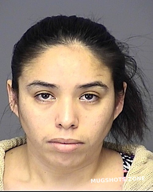BAUTISTA YOLANDA BEATRIS 03/06/2025 - Highlands County Mugshots Zone