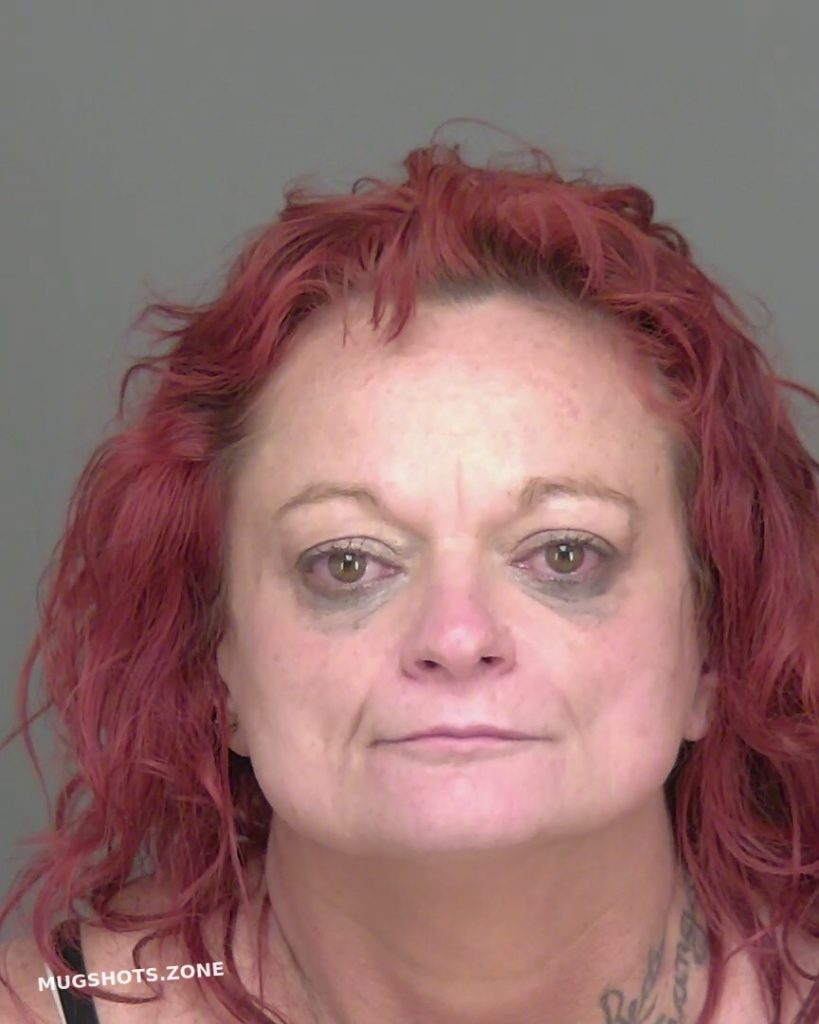 GASKINS MELANIE SUE 03/09/2025 - Highlands County Mugshots Zone