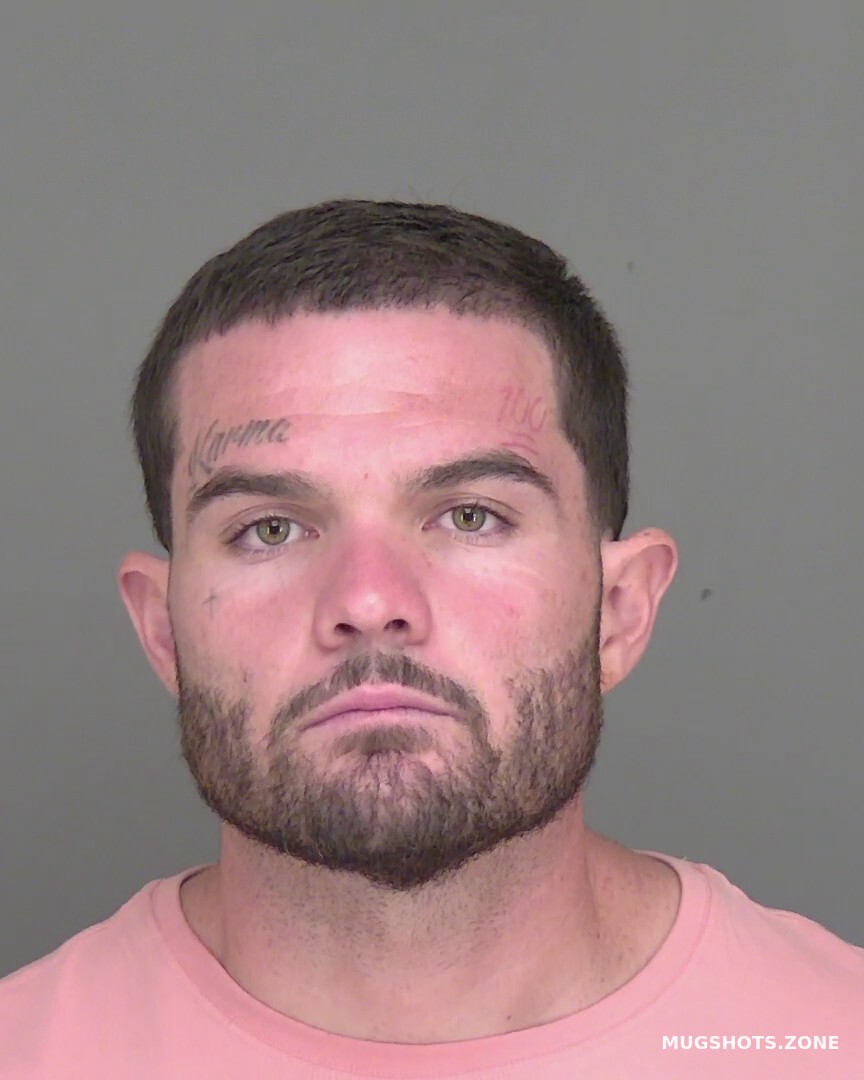 DEVLIN MARK JOSEPH 03/10/2025 - Highlands County Mugshots Zone