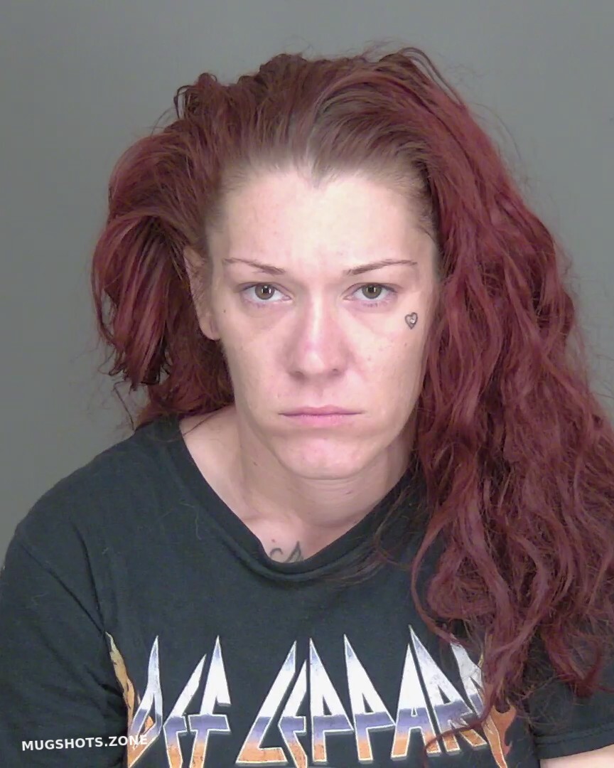 DZIEDZIC VICTORIA LYNN 04/03/2025 - Highlands County Mugshots Zone