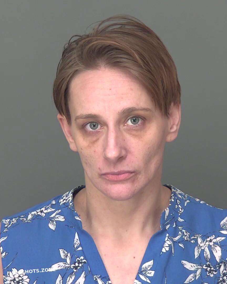 DEWEESE TEILA BIGGS 04/23/2025 - Highlands County Mugshots Zone