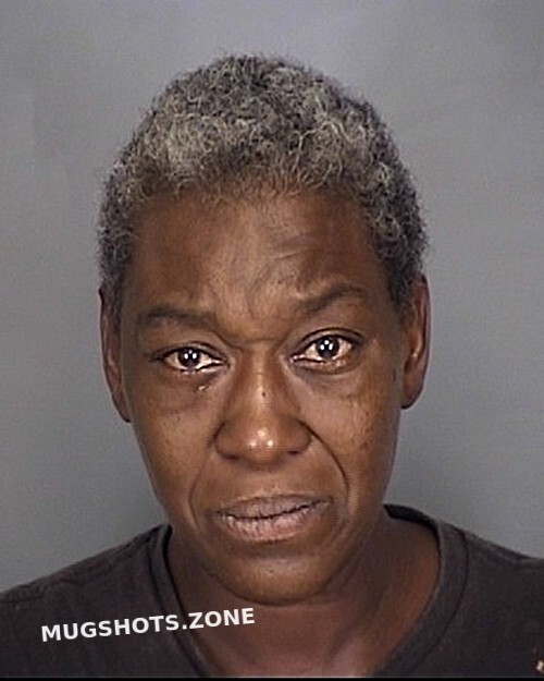 LEWIS LISA RENEE 06/12/2025 - Highlands County Mugshots Zone