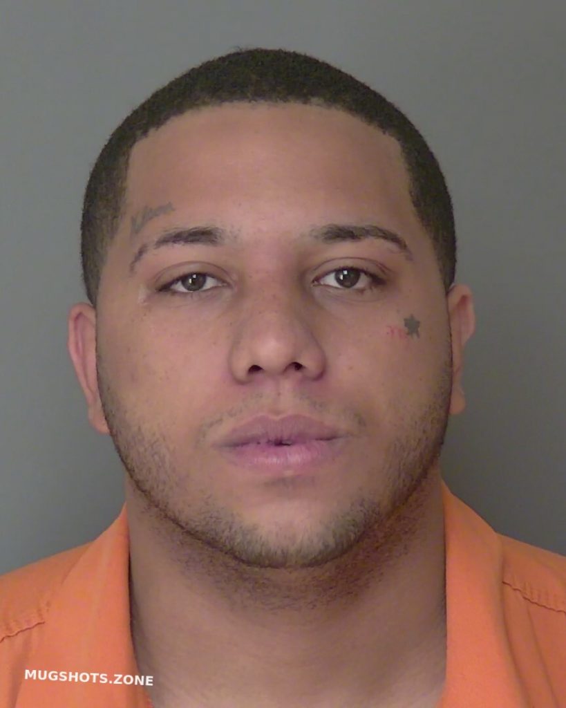 NELSON GABRIEL SHAY 06/27/2025 - Highlands County Mugshots Zone