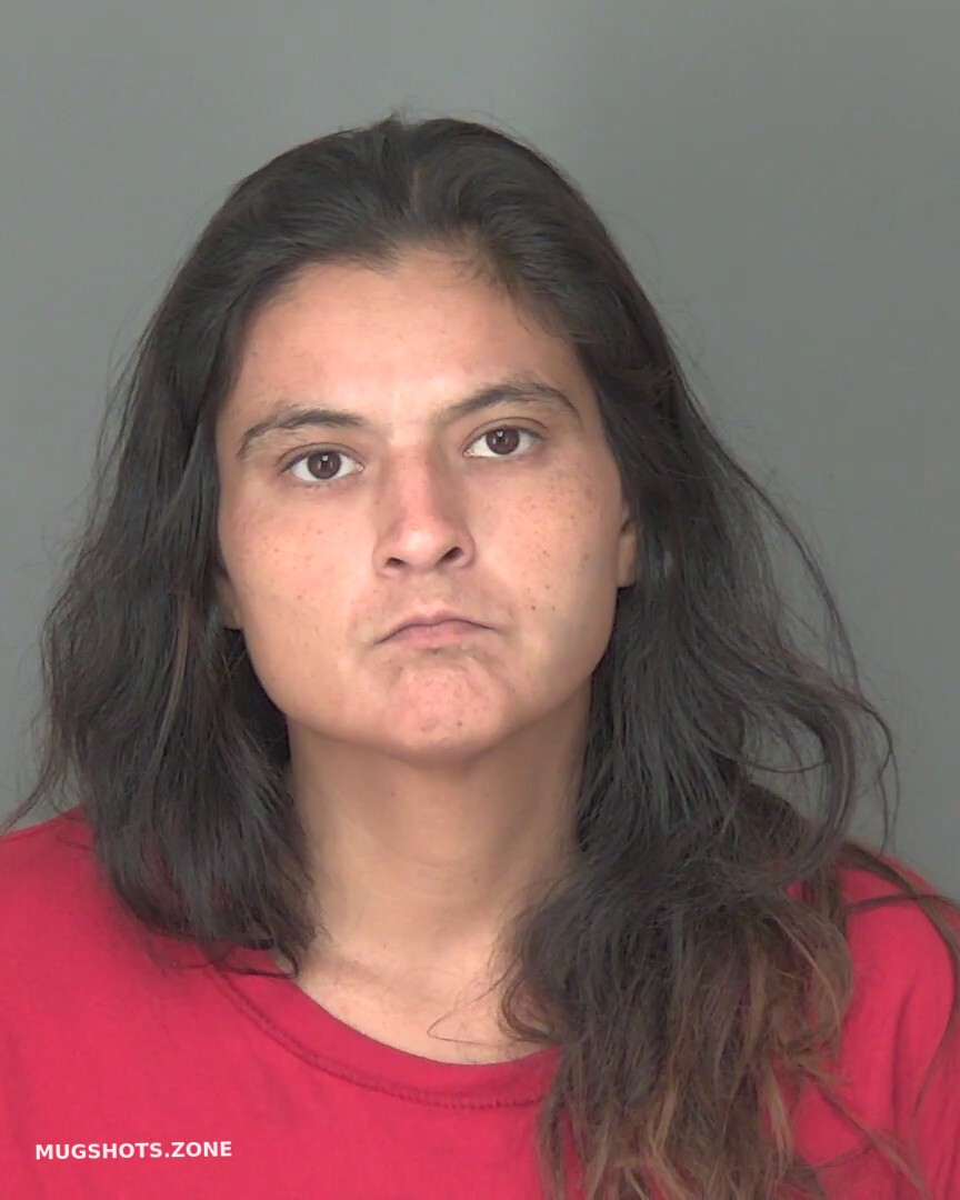 CASTILLO CRYSTAL LEANN 07/12/2025 - Highlands County Mugshots Zone
