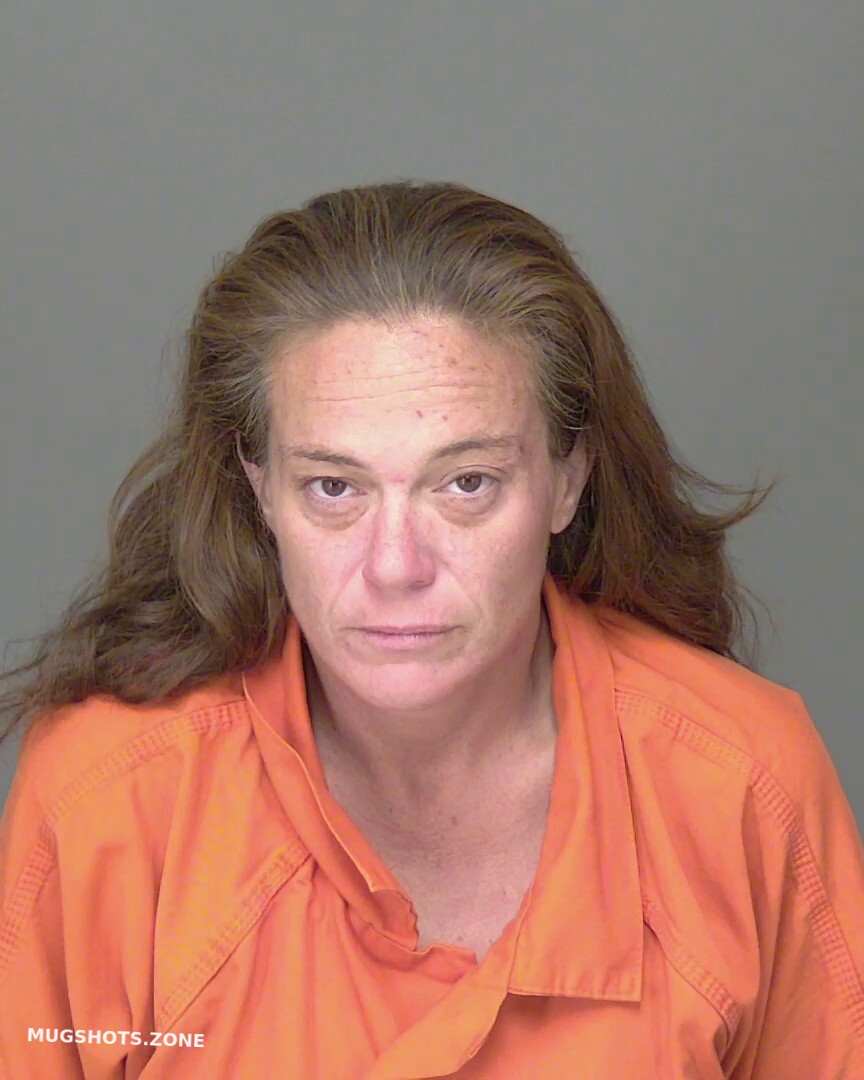 PICKERING SARAH CHAPMAN 07/25/2025 - Highlands County Mugshots Zone