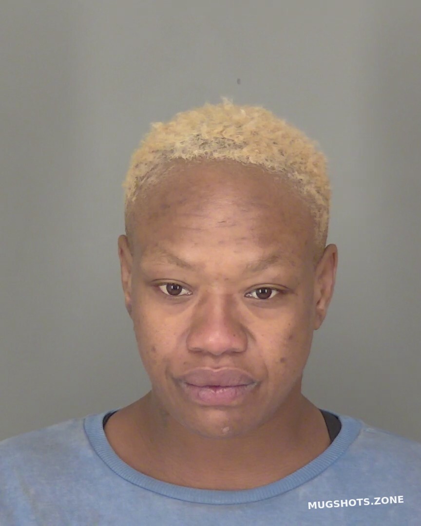 ALLEN CHINITA SHANTAY 07/30/2025 - Highlands County Mugshots Zone