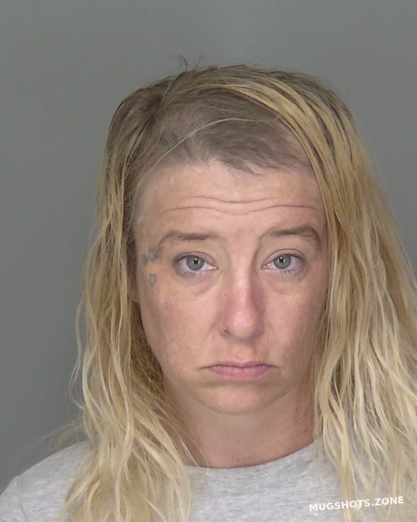 BYARS ERIKA DENISE 08/16/2025 - Highlands County Mugshots Zone