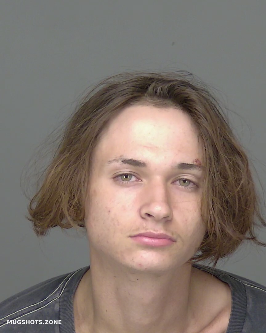 ROBINSON MARK DAVID 08/23/2025 - Highlands County Mugshots Zone
