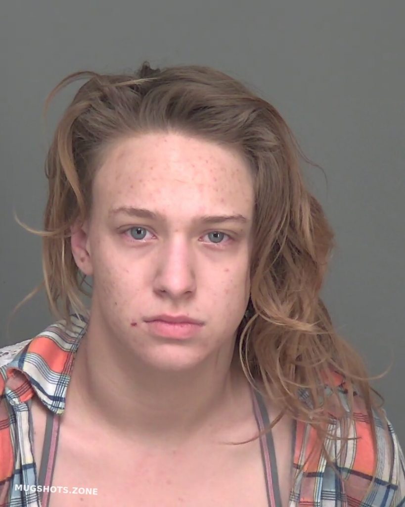 HOULE JEAN LEE 11/10/2025 - Highlands County Mugshots Zone