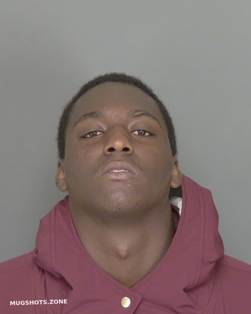 PAGE TEDRICK DEUON 11/14/2025 - Highlands County Mugshots Zone